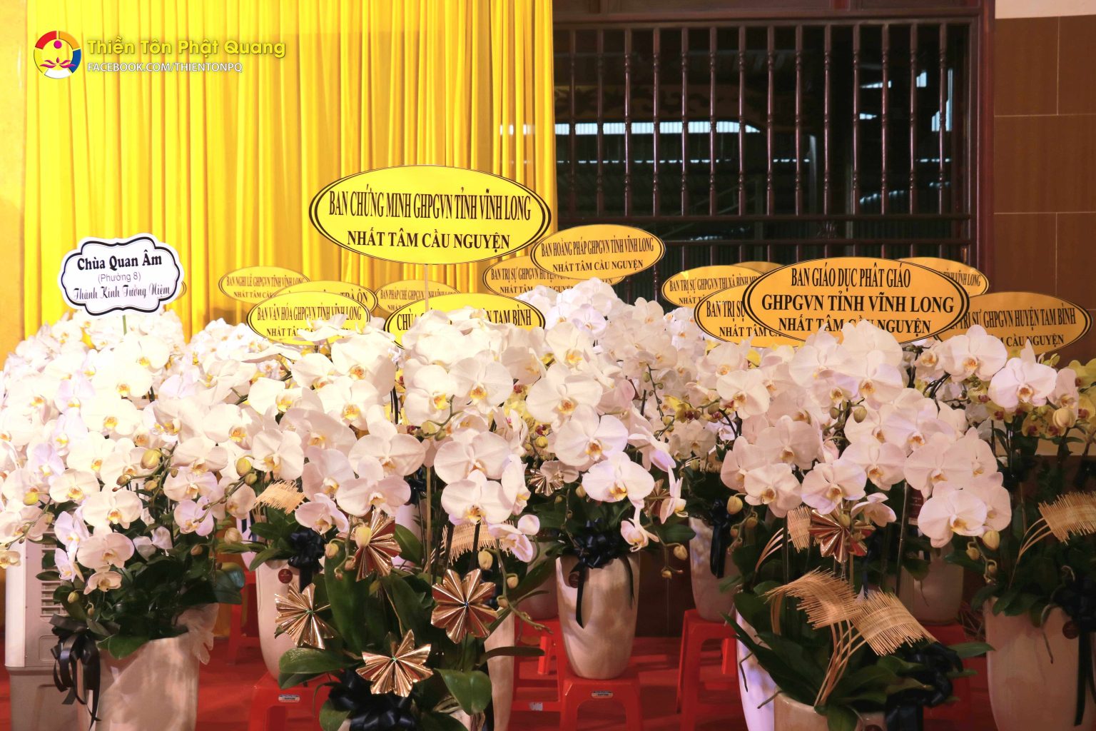 Vô cùng thương tiếc tưởng nhớ Giác linh Sư Bác – Hòa thượng Thích Phước ...